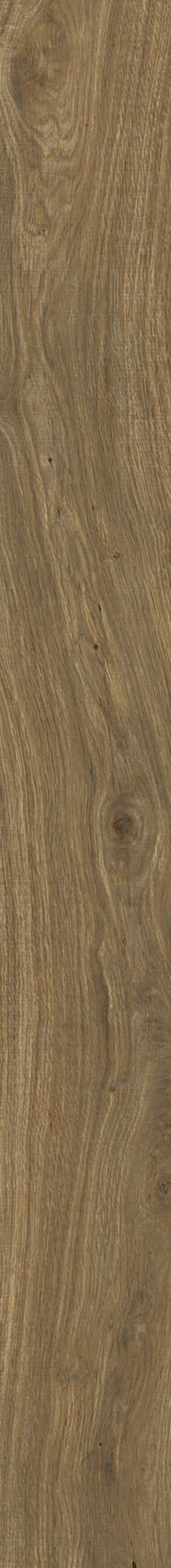 IRATI ROBLE RELIEVE 19.5X180 | Grespania