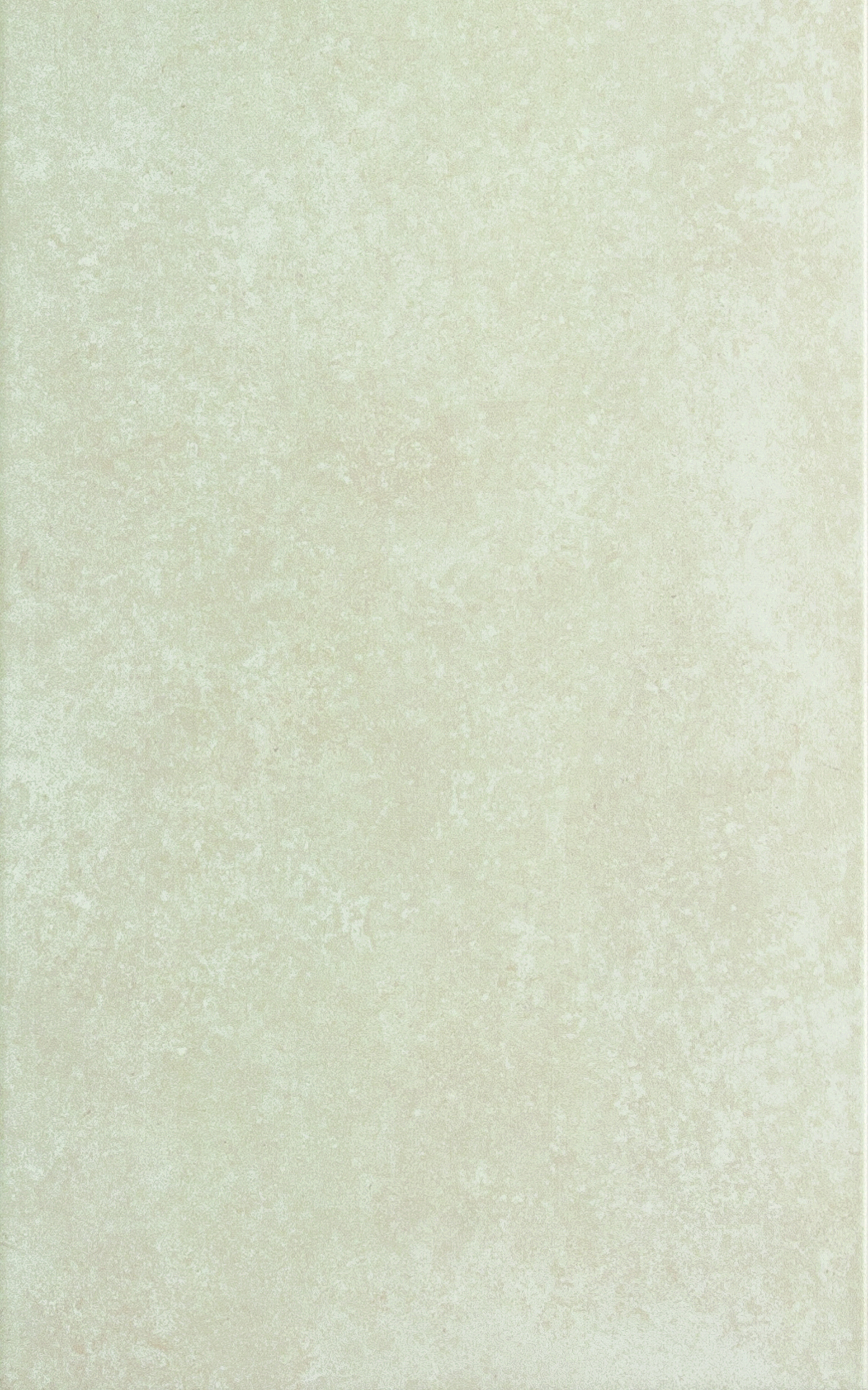 BOSTON BEIGE NATURAL 25X40 | Grespania