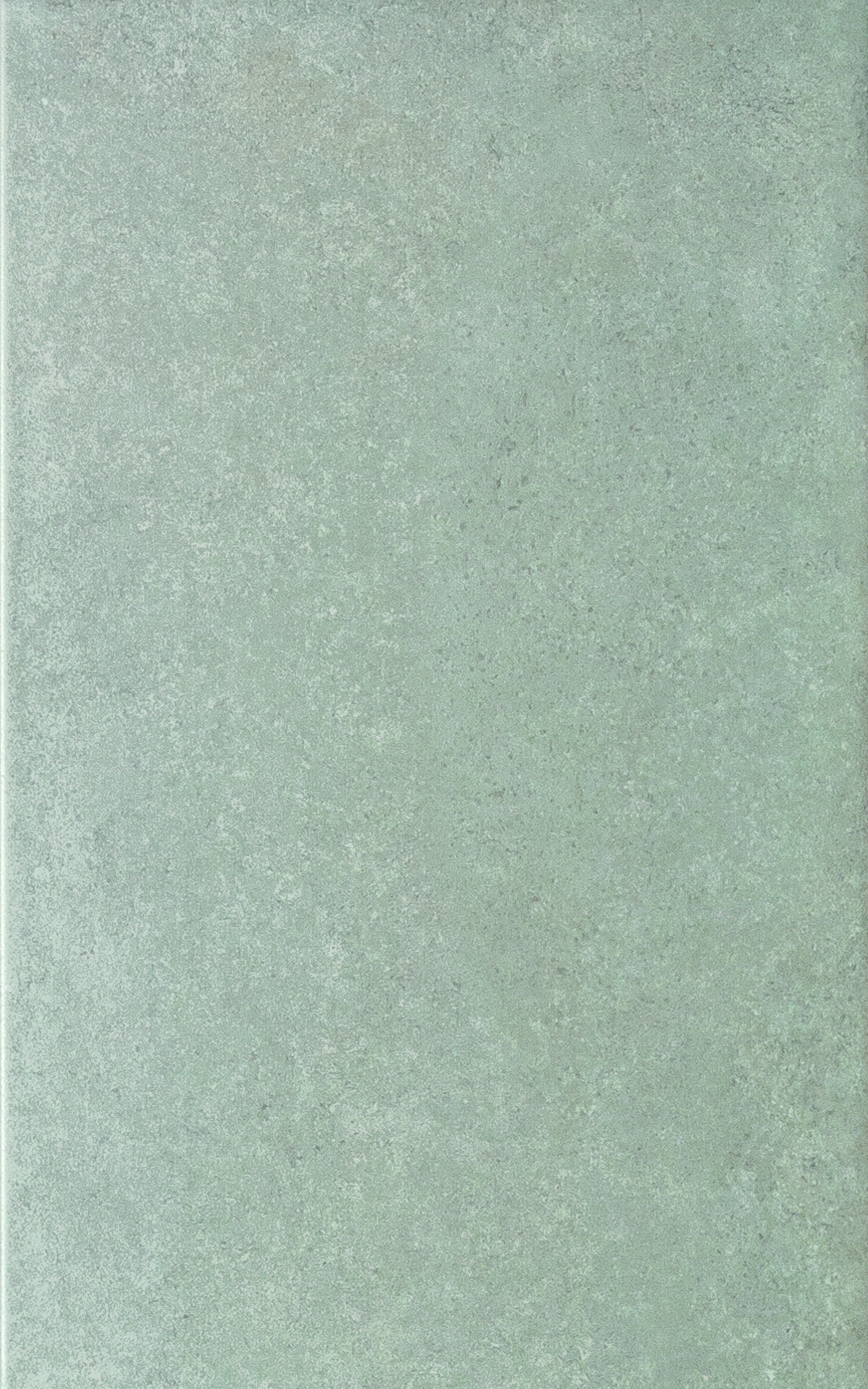 BOSTON CEMENTO NATURAL 25X40 | Grespania