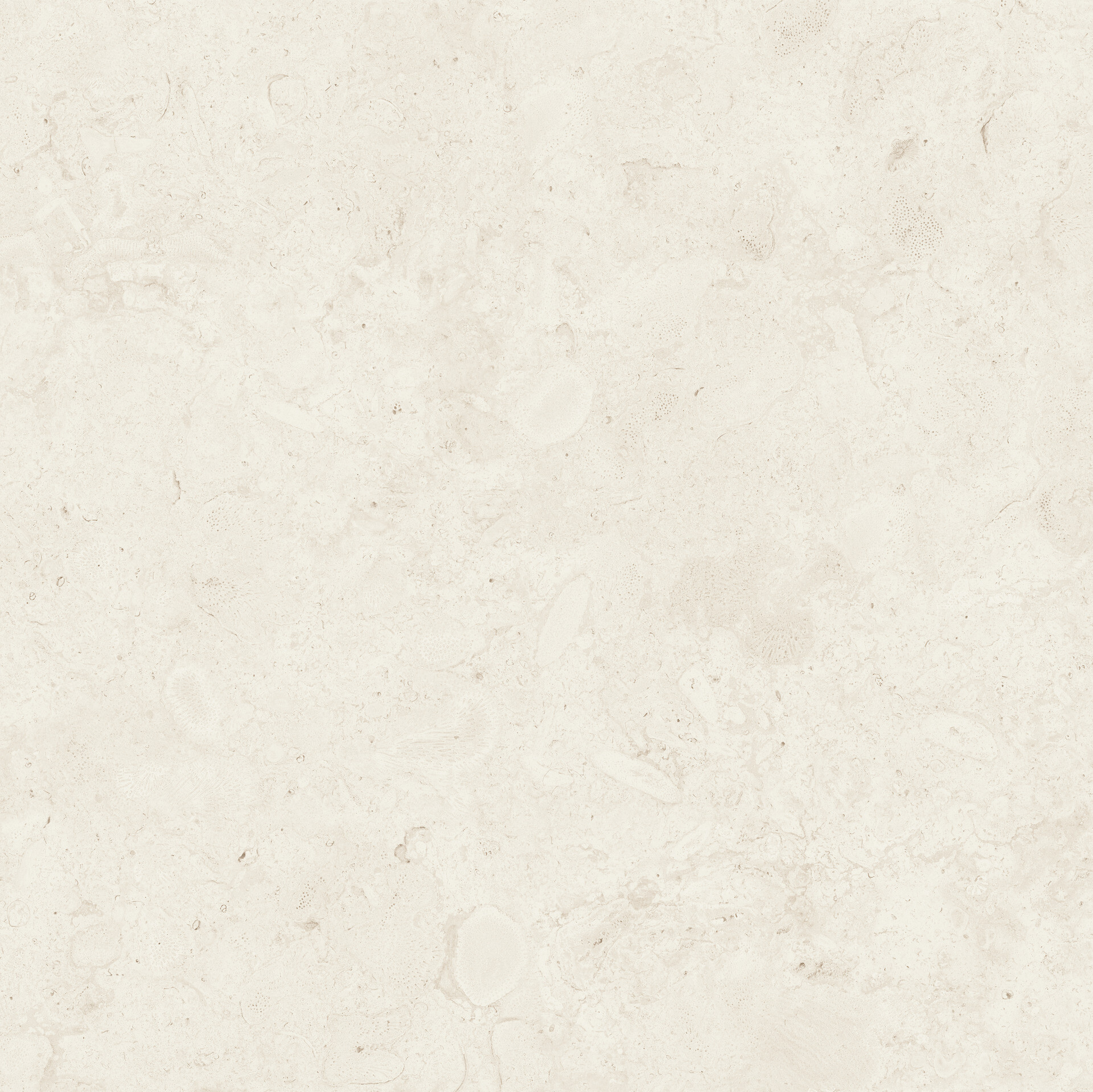 CORALINA BONE NATURAL 120X120 | Grespania
