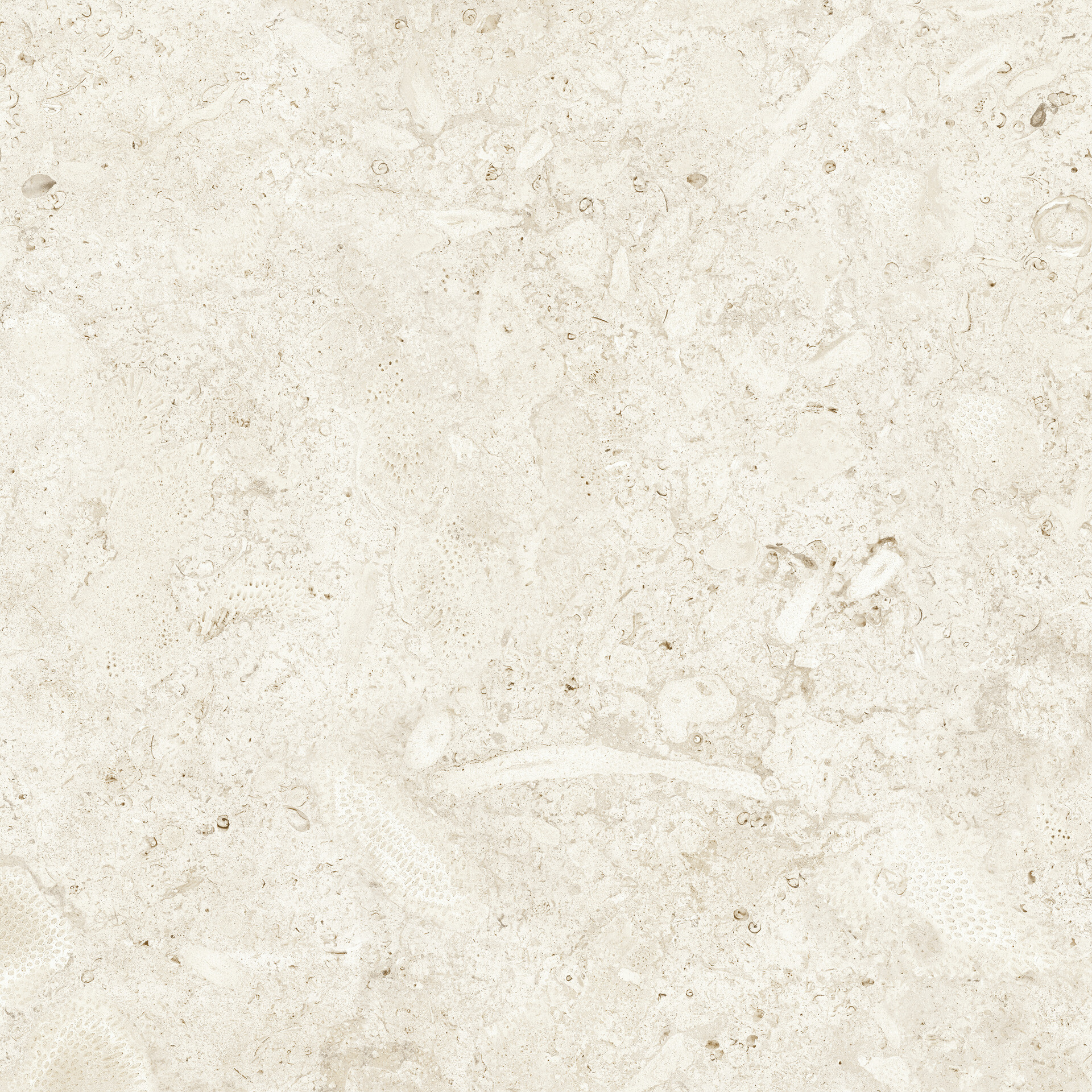CORALINA BONE NATURAL 60X60 | Grespania