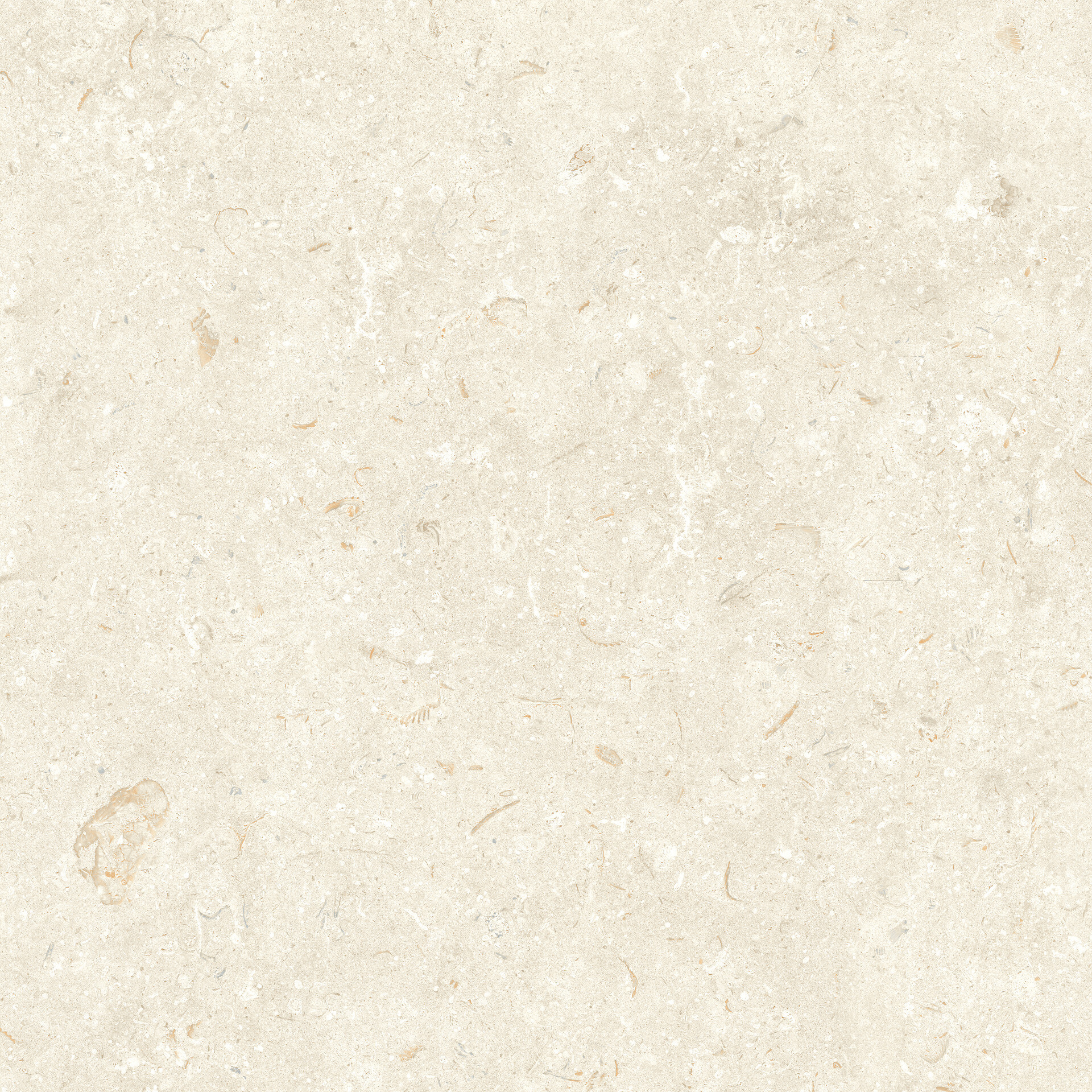 FOSIL BONE NATURAL 80X80 | Grespania