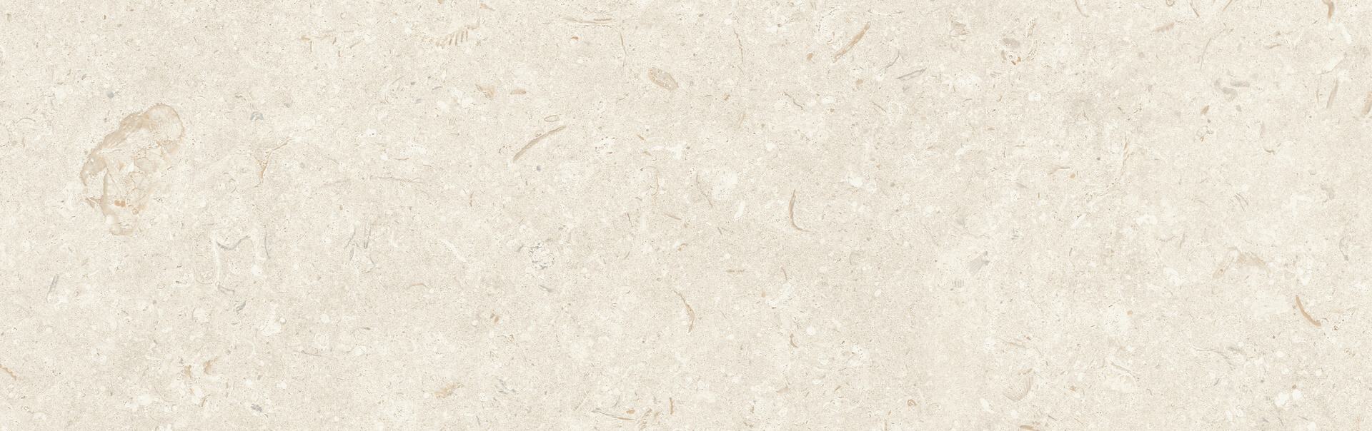 FOSIL BONE NATURAL 31.5X100 | Grespania