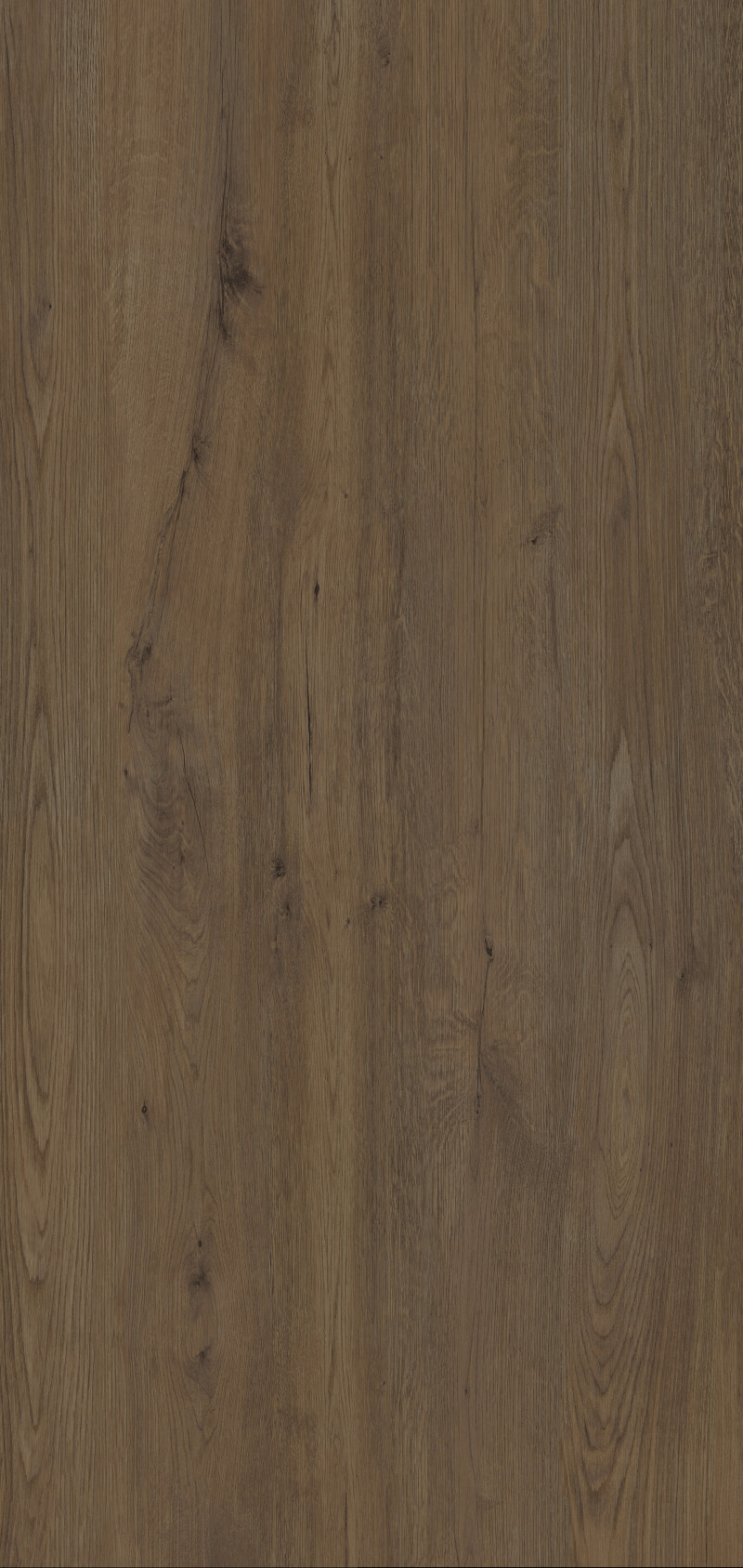 JUNGLA TECA NATURAL 120X260 | Grespania