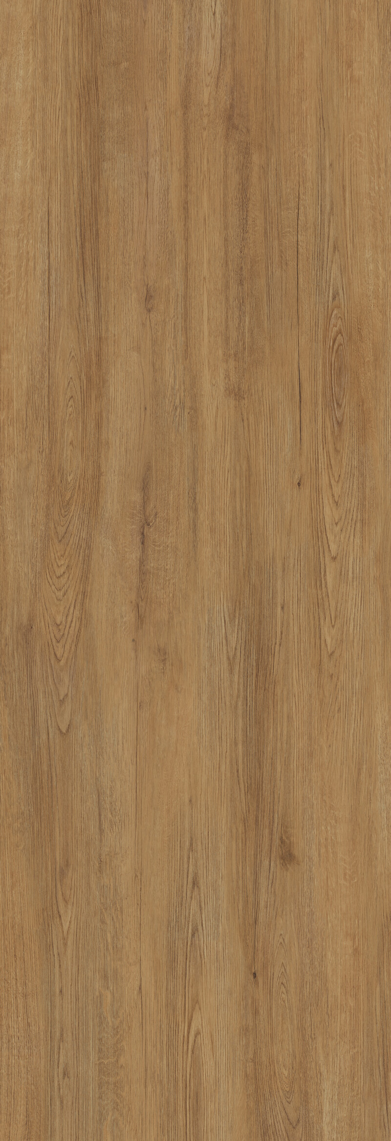 JUNGLA IROKO NATURAL 120X360 | Grespania