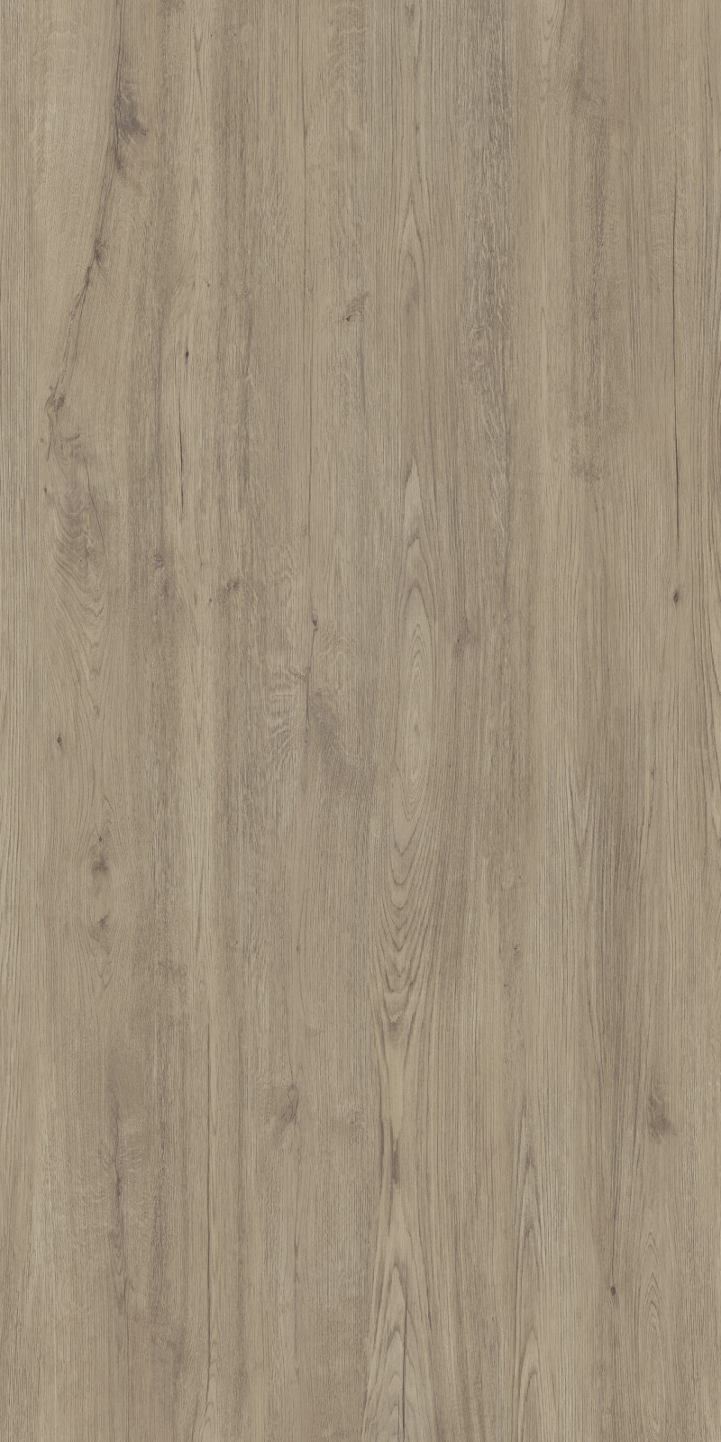 JUNGLA ROBLE NATURAL 162X324 | Grespania