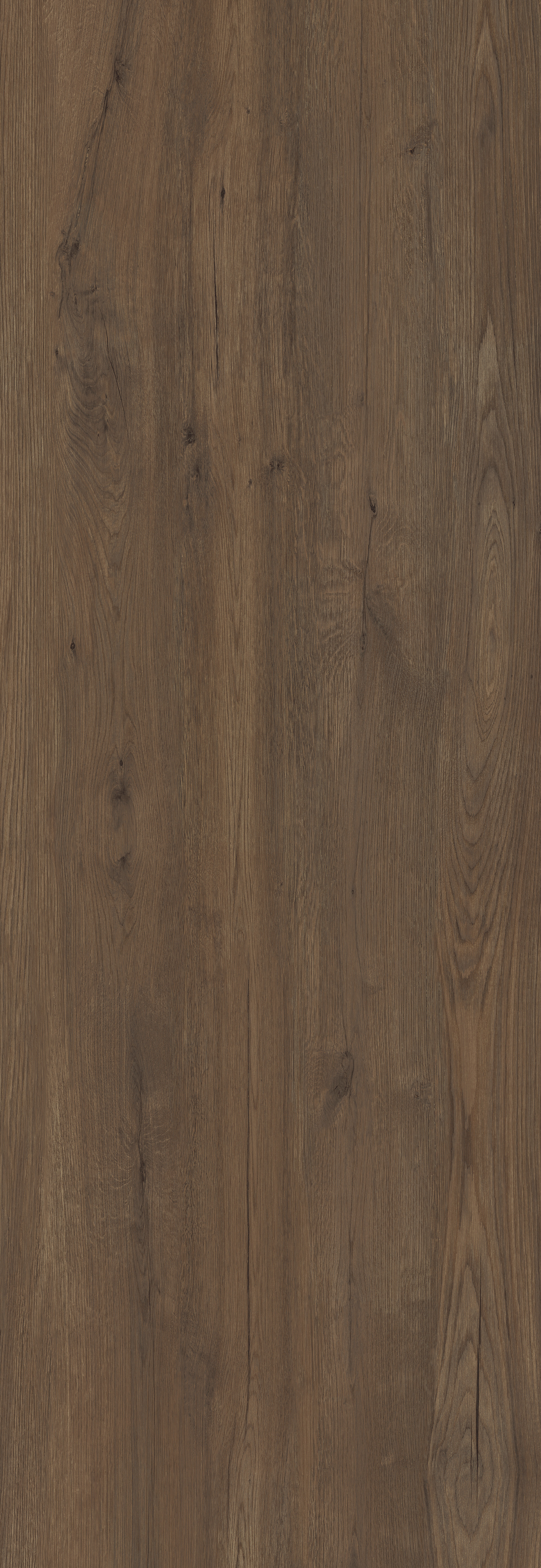 JUNGLA TECA NATURAL 100X300 | Grespania