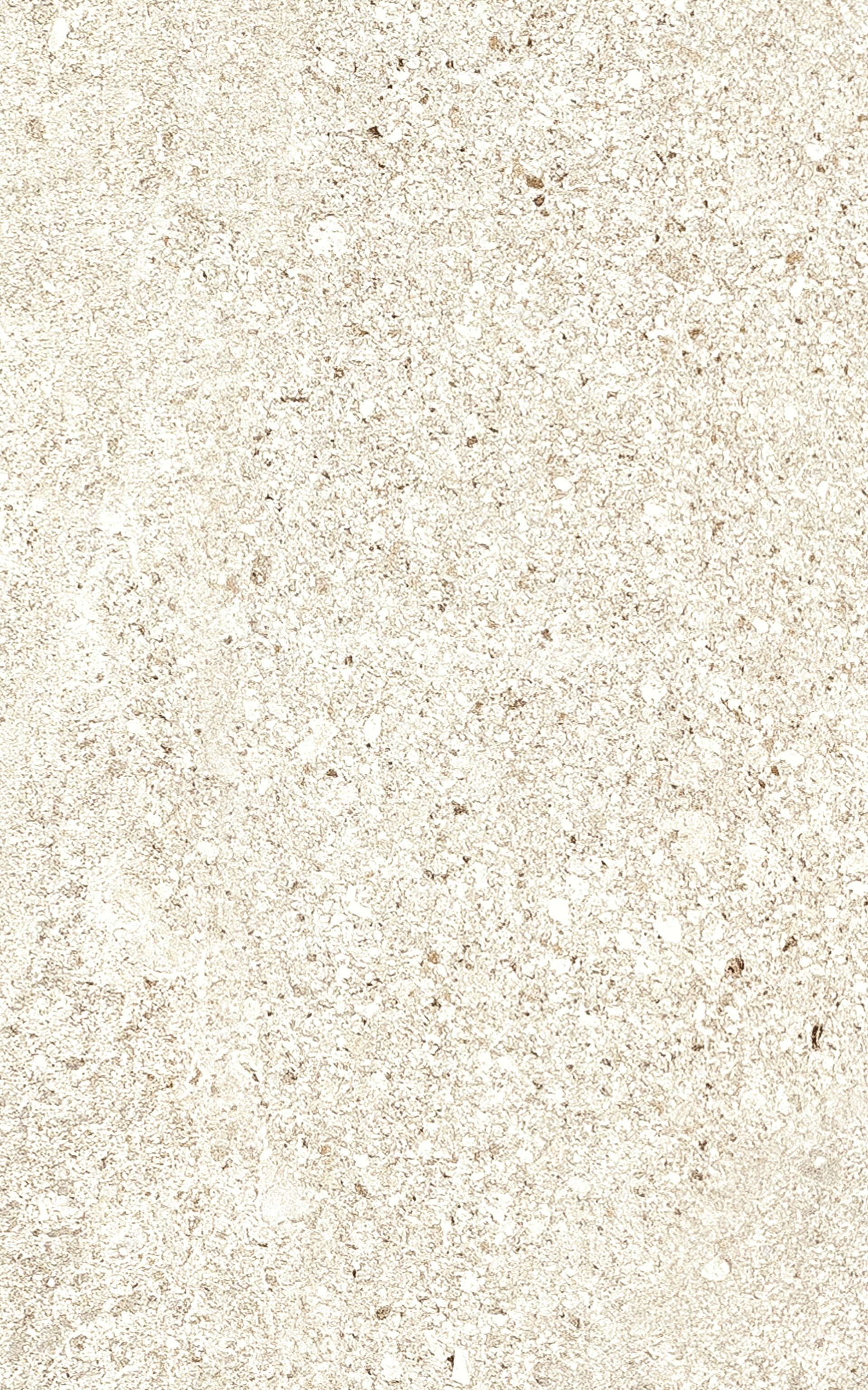 REIMS MARFIL NATURAL 25X40 | Grespania